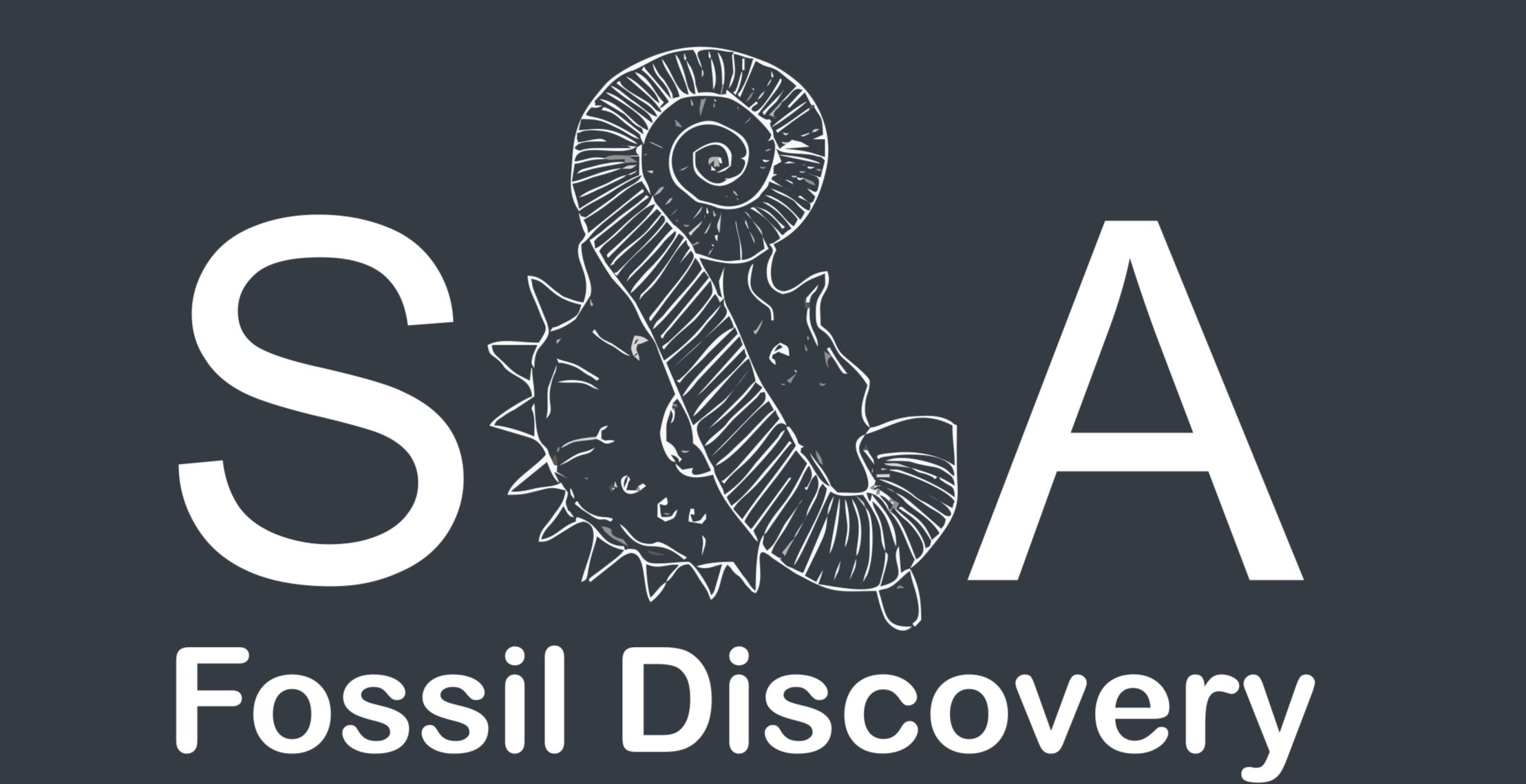 Fossil hunting kits, affordable tools, hammers, toys, and books | S&A ...